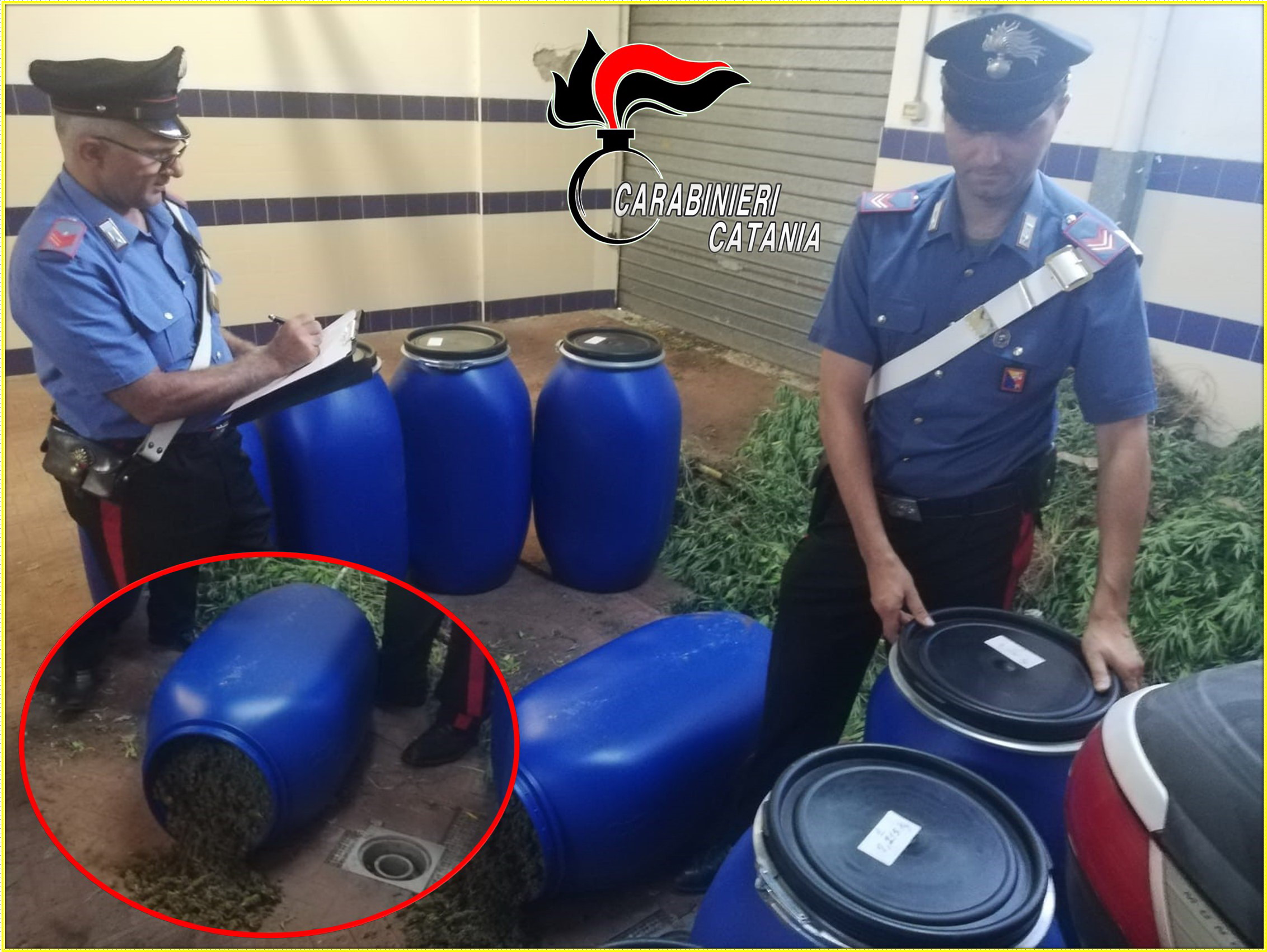 Mascali, ancora un colpo al traffico della droga. CC sequestrano 18 ...