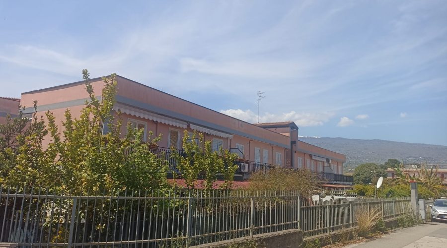 Mascali: primo modello di impianto di fitodepurazione in un complesso ...