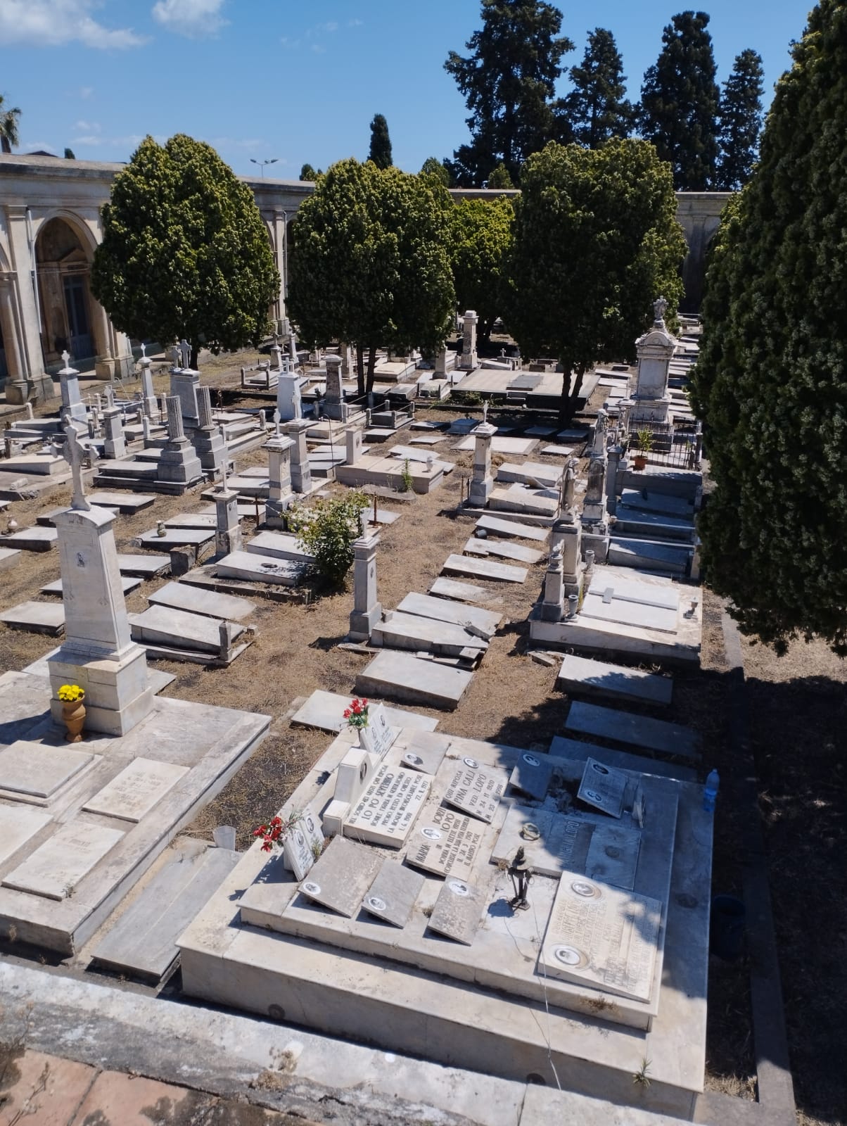 Cimitero di Giarre, completata la bonifica. Ai nastri di partenza un ...