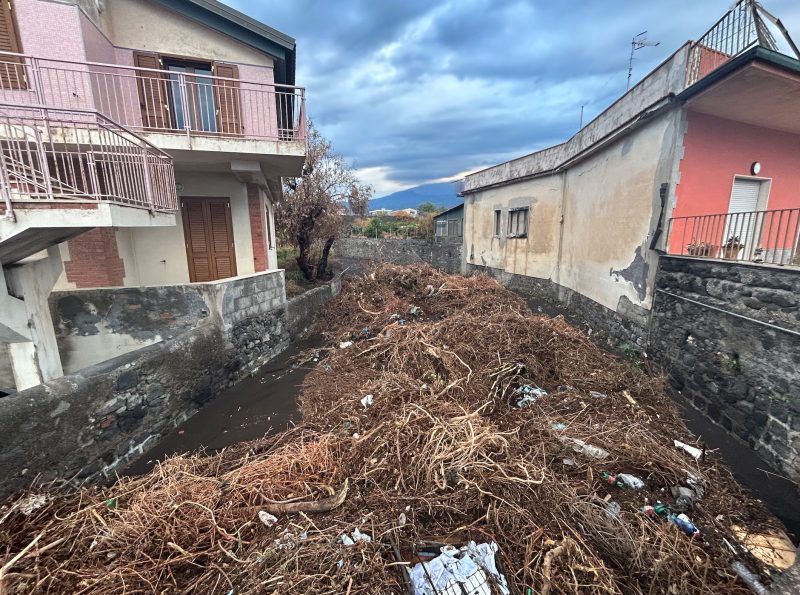 Riposto, cumuli di ramaglie ammassati nell'aveo dei torrenti Babbo e ...