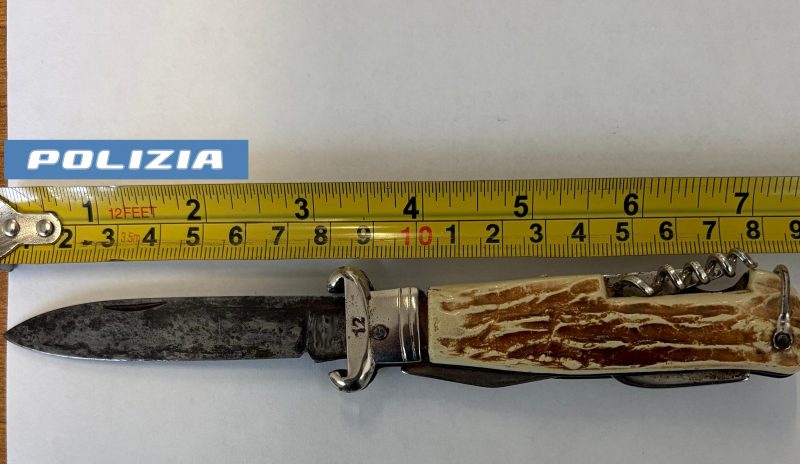 Non si ferma all'alt della polizia: arrestato 19enne
